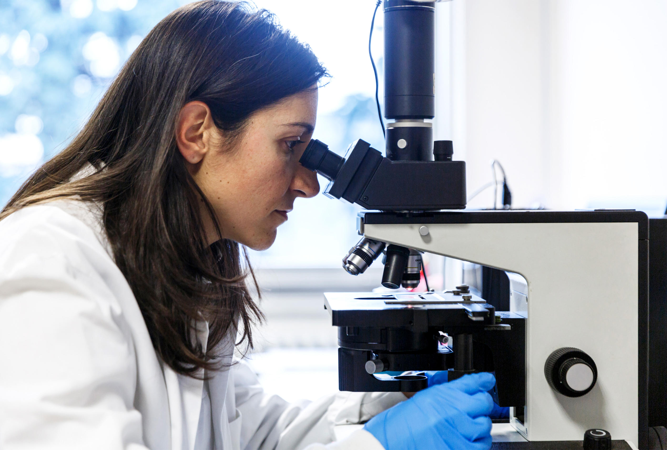 Istologia e Microscopia - Laemmegroup